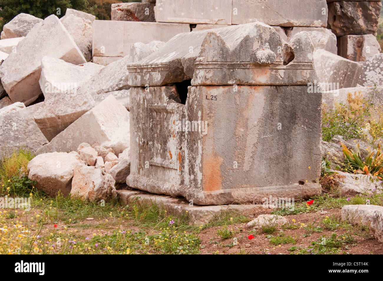 Ancient ruins of a crypt, Patara, Turkey Stock Photo - Alamy