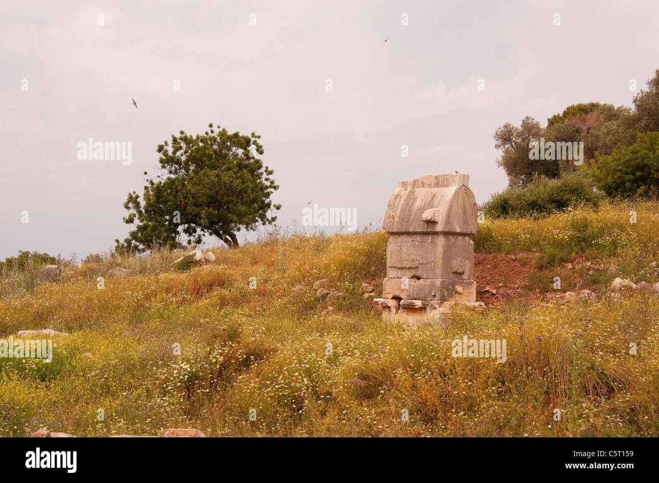 The ancient crypt hi-res stock photography and images - Alamy