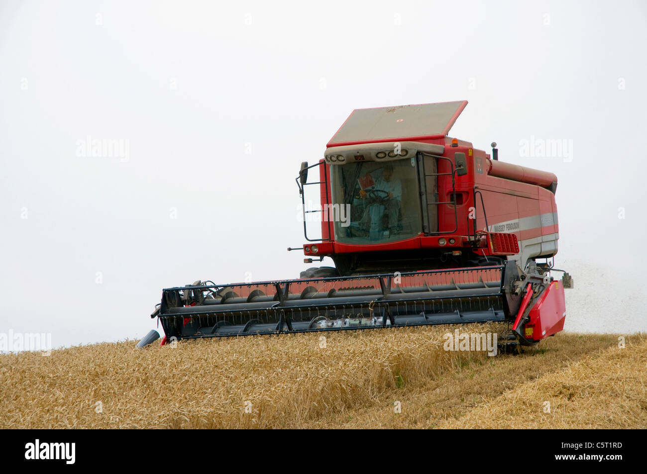 Red combine harvester working during the wheat harvest. Simple layout ...