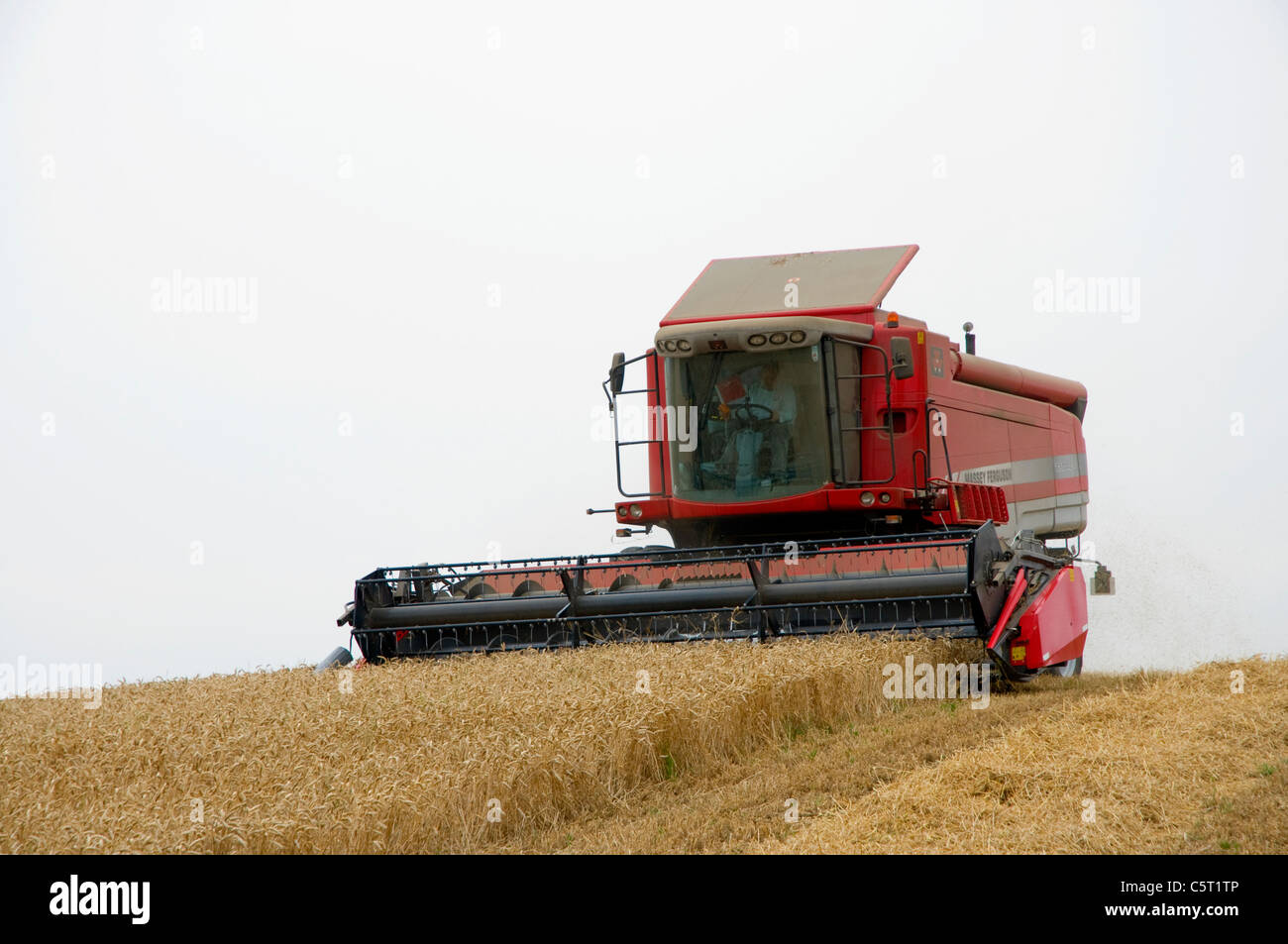 Red combine harvester working during the wheat harvest. Simple layout ...