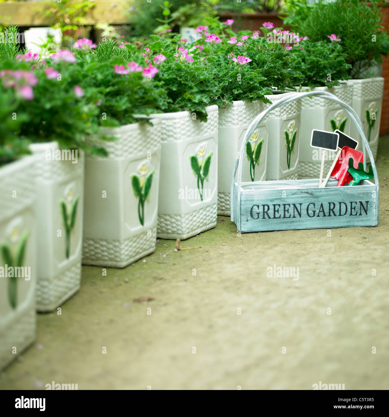 Various plants in flower pots Stock Photo - Alamy
