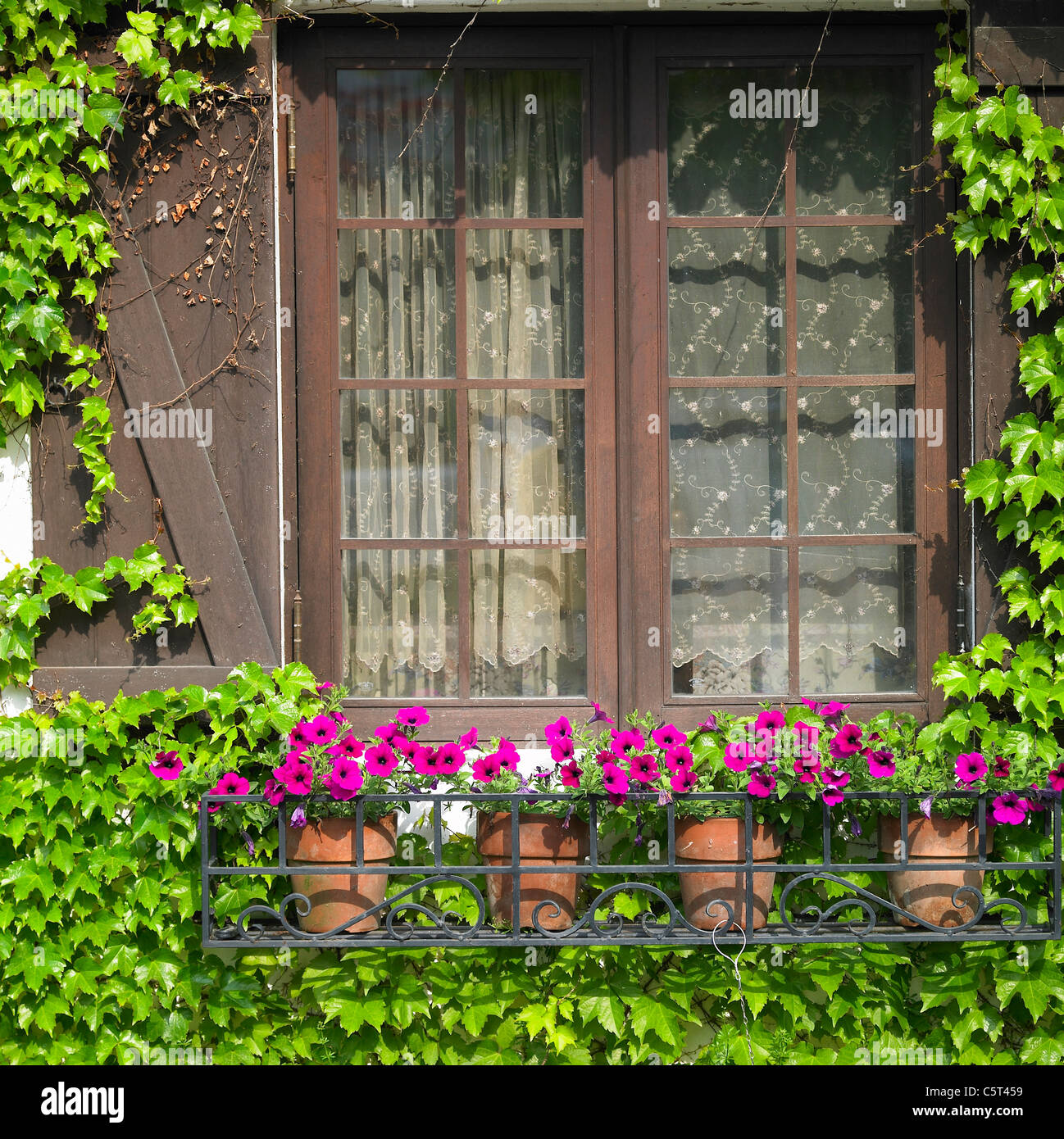 Window surrounded by gardens Stock Photo - Alamy