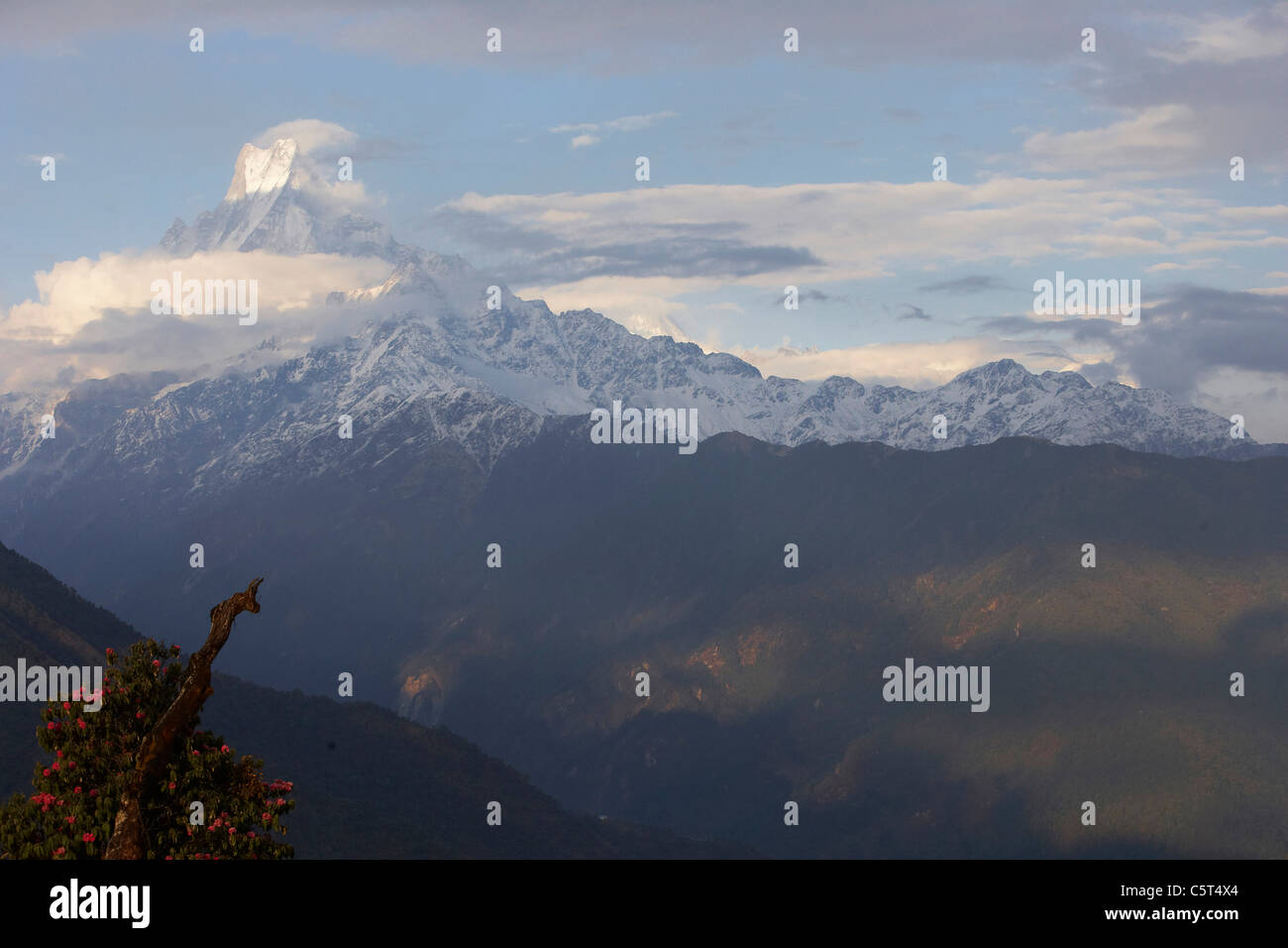 Machhapuchhare (Machapuchare) or fish tail mountain seem from Tadapani ...