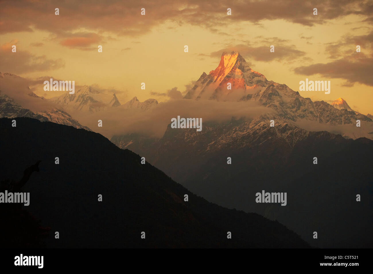 Fish tail mountain hi-res stock photography and images - Alamy