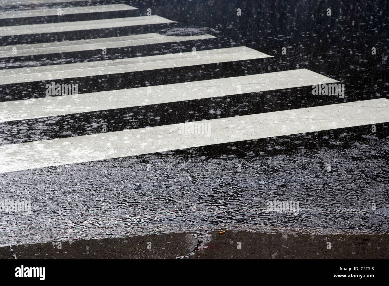 crosswalk in heavy rain downtown broadway Nashville Tennessee USA Stock ...