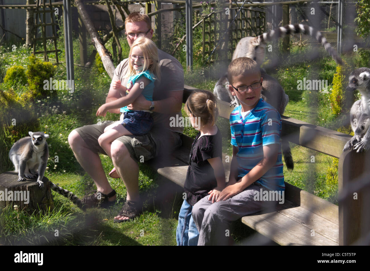 Five Sisters Zoo, Polbeth, near Livingston, Scotland - feeding ...