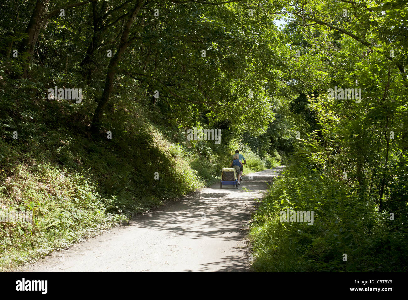 Camel Trail, Bodmin to Wadebridge Stock Photo - Alamy