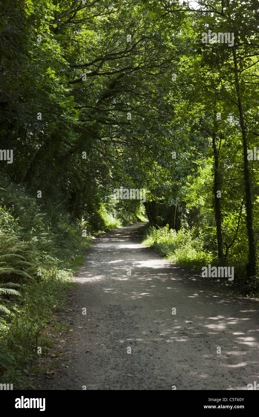 Camel Trail, Bodmin to Wadebridge Stock Photo - Alamy