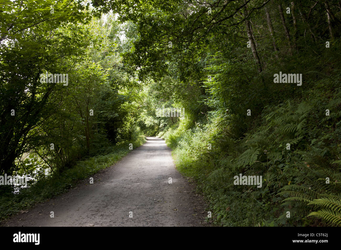 Camel Trail, Bodmin to Wadebridge Stock Photo - Alamy