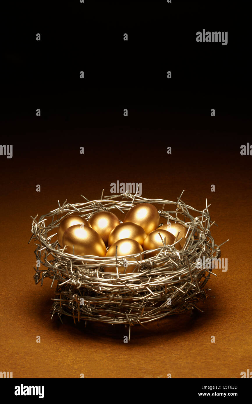 Nest Egg Concept Symbolizing Security Stock Photo - Alamy