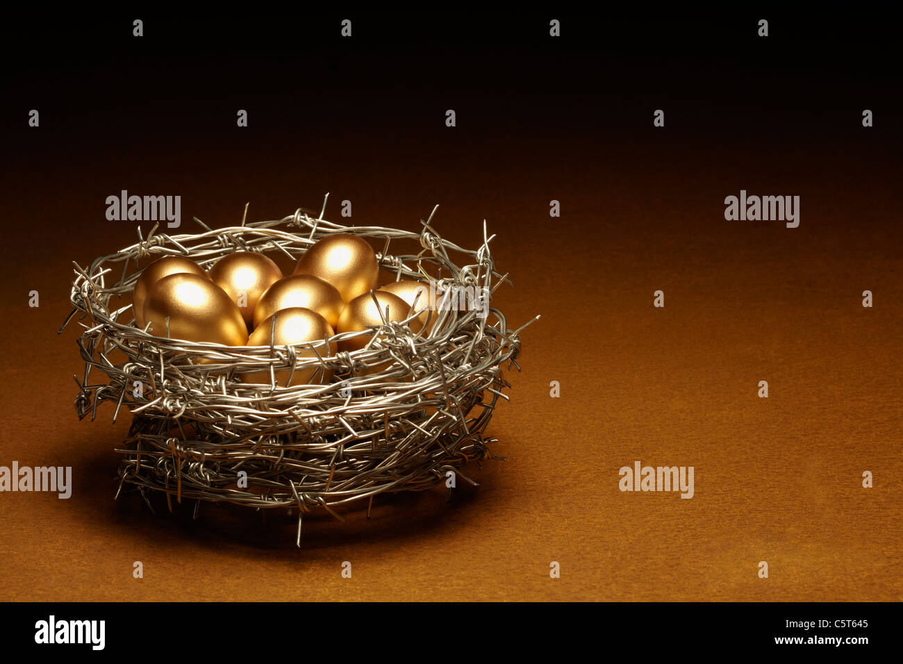 Nest Egg Concept Symbolizing Security Stock Photo - Alamy