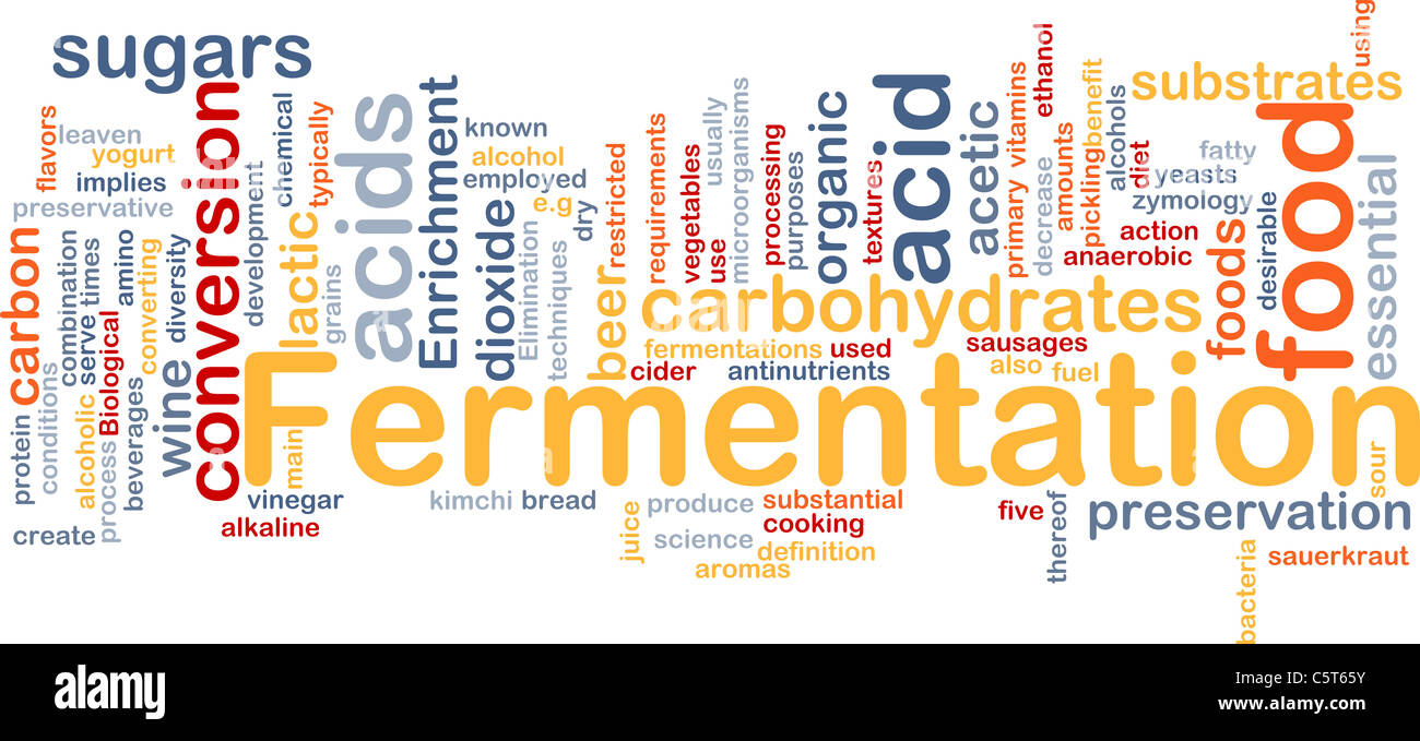Background concept wordcloud illustration of fermentation food process ...