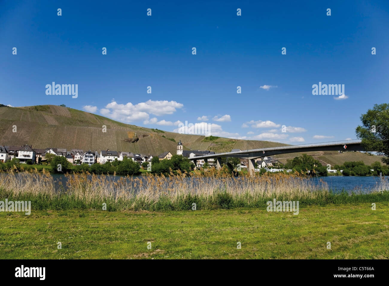 Germany, Rhineland-Palatinate, Moselle River, Kinheim Stock Photo - Alamy