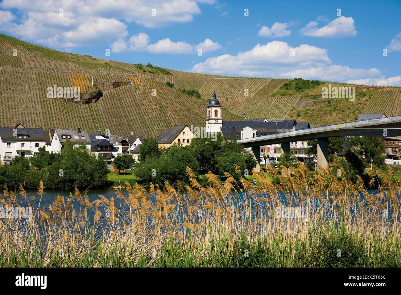 Kinheim hi-res stock photography and images - Alamy