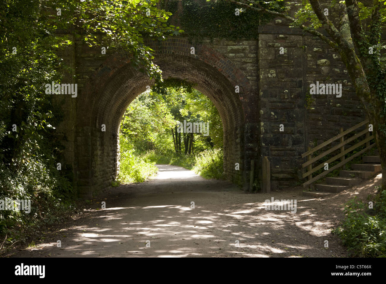 Camel Trail, Bodmin to Wadebridge Stock Photo - Alamy