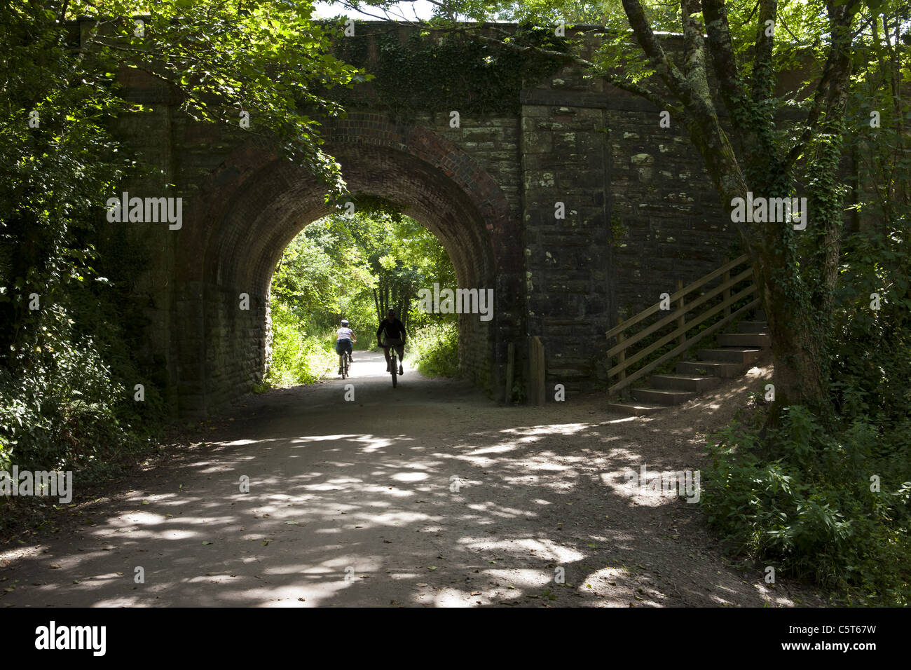 Camel Trail, Bodmin to Wadebridge Stock Photo - Alamy
