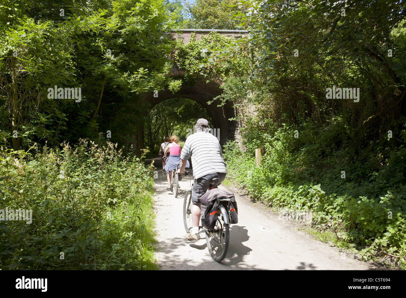 Camel Trail, Bodmin to Wadebridge Stock Photo - Alamy