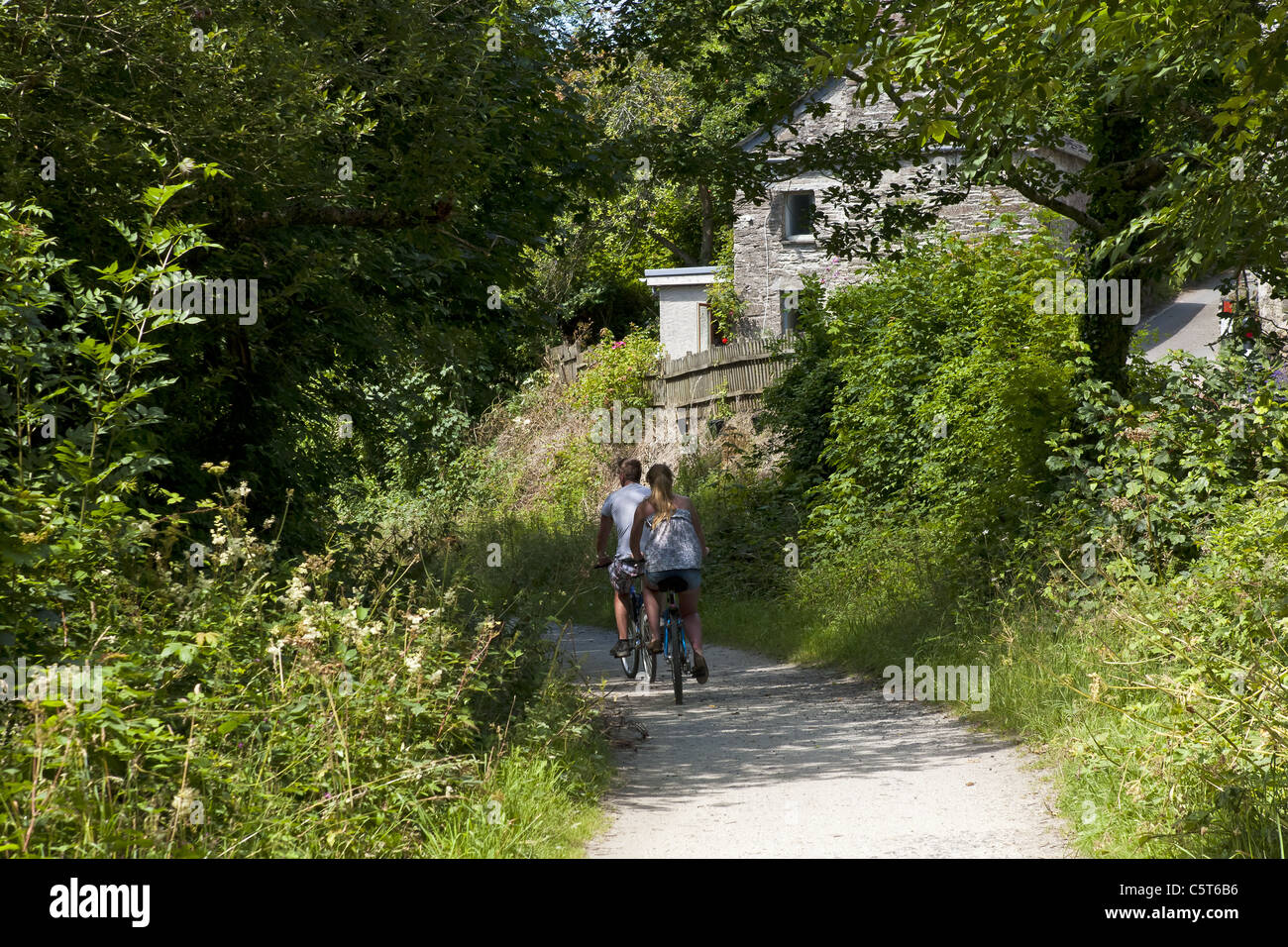 Camel Trail, Bodmin to Wadebridge Stock Photo - Alamy