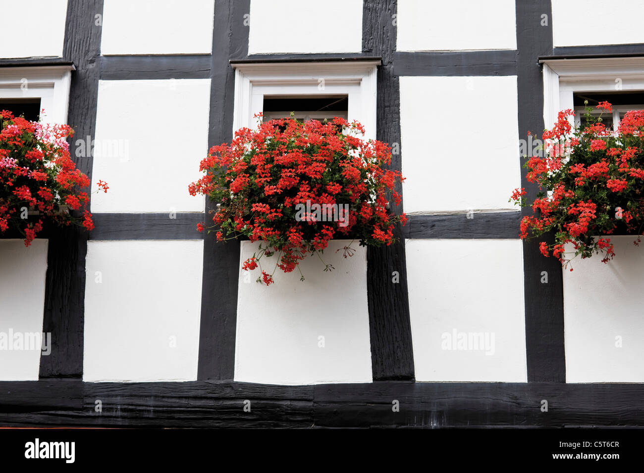 Germany, North Rhine-Westphalia, Freudenberg, Flower boxes on half ...
