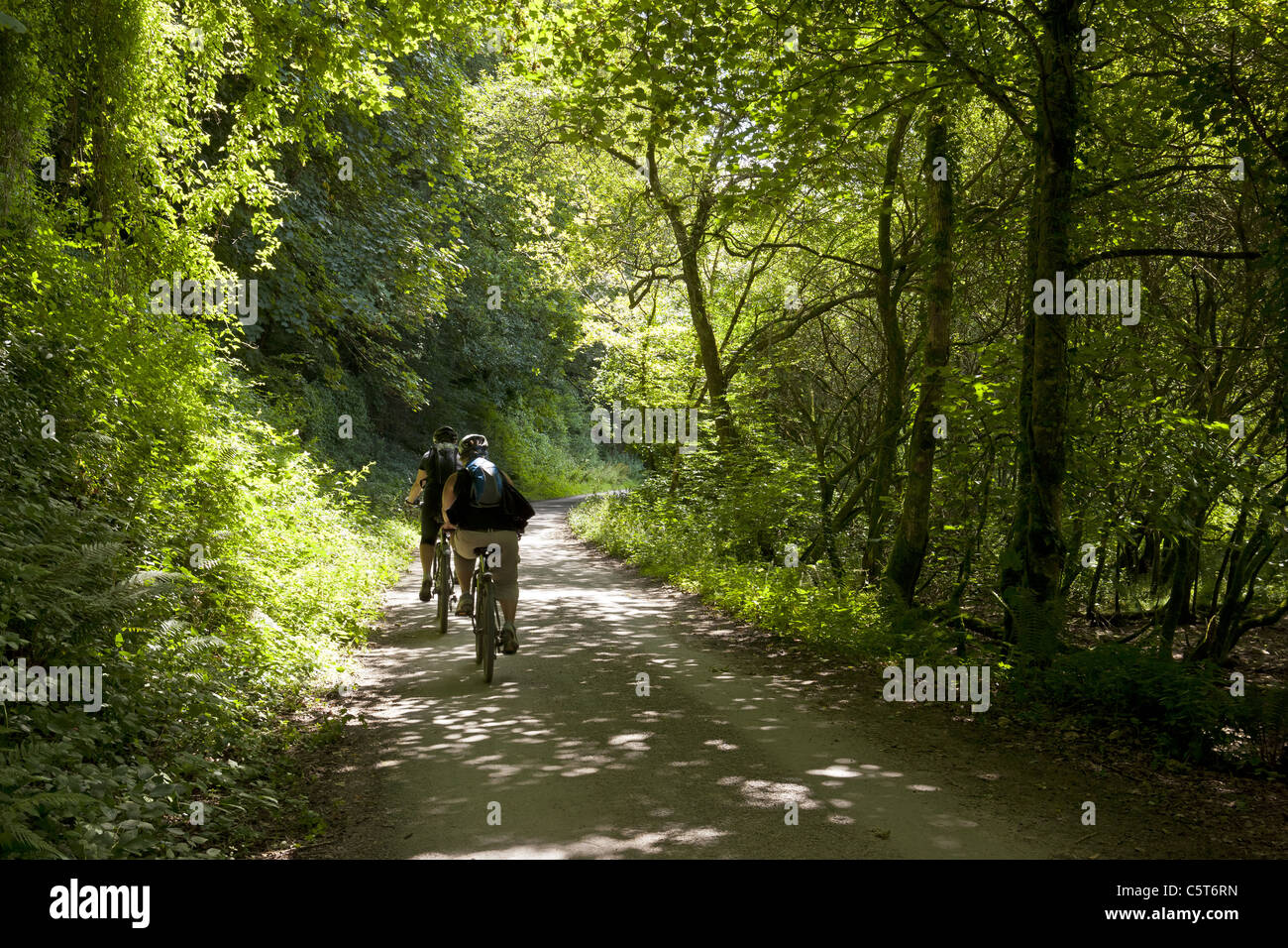 Bodmin wadebridge railway hi-res stock photography and images - Alamy