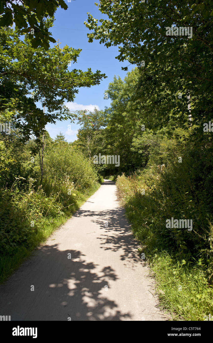 Camel Trail, Bodmin to Wadebridge Stock Photo - Alamy