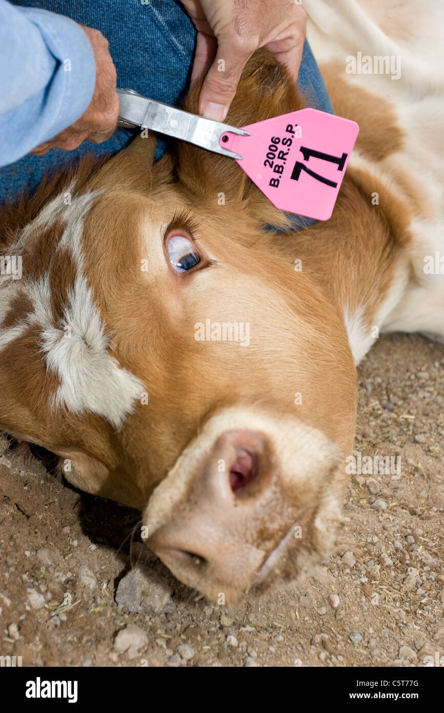 To earmark hi-res stock photography and images - Alamy