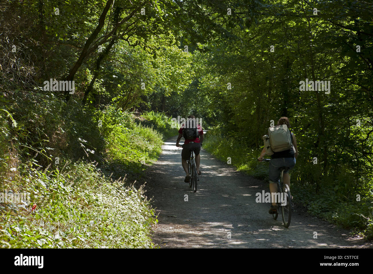 Camel Trail, Bodmin to Wadebridge Stock Photo - Alamy