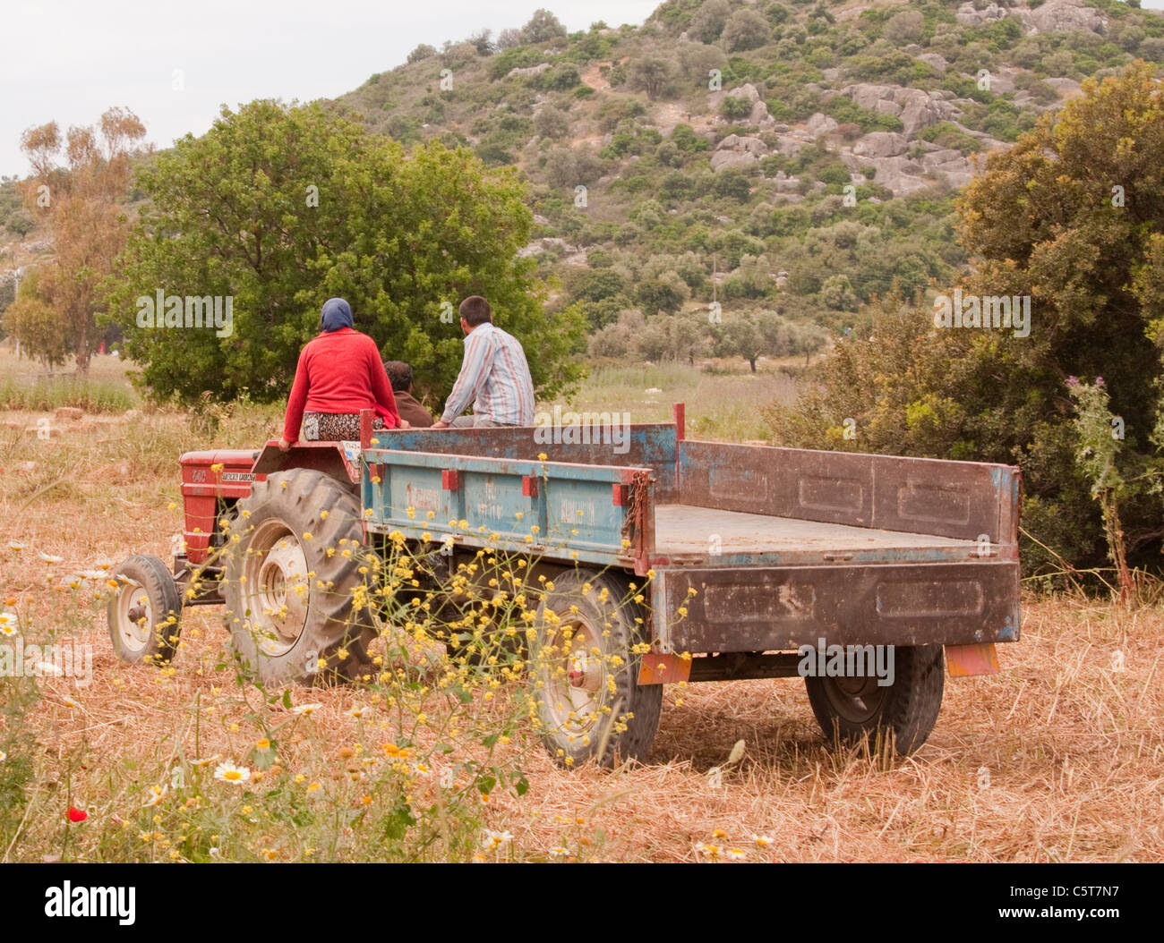 Turkish people working on their farmland, Patara, Turkey Stock Photo ...