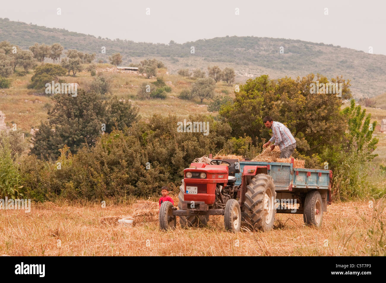 Turkish people working on their farmland, Patara, Turkey Stock Photo ...