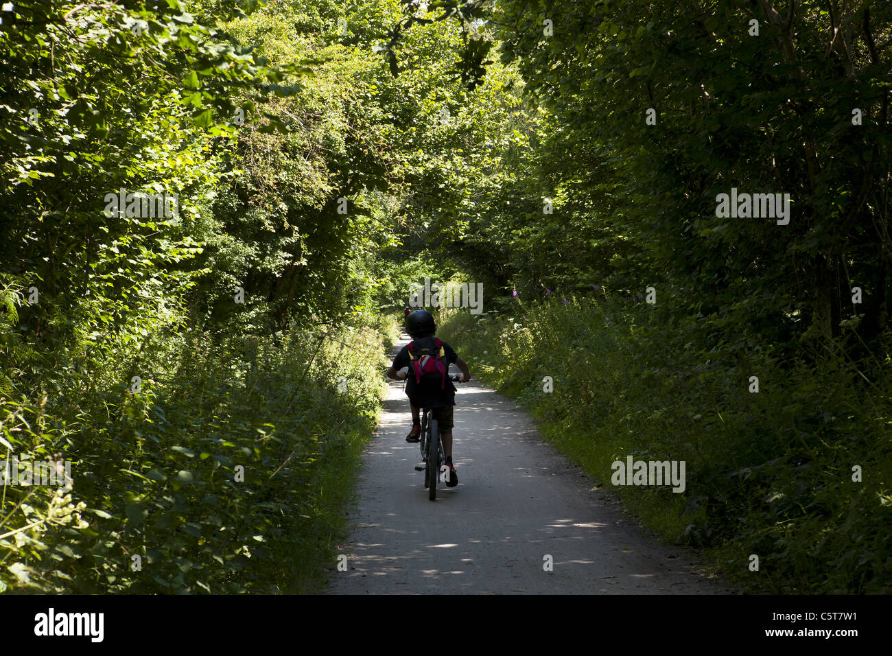 Camel Trail, Bodmin to Wadebridge Stock Photo - Alamy