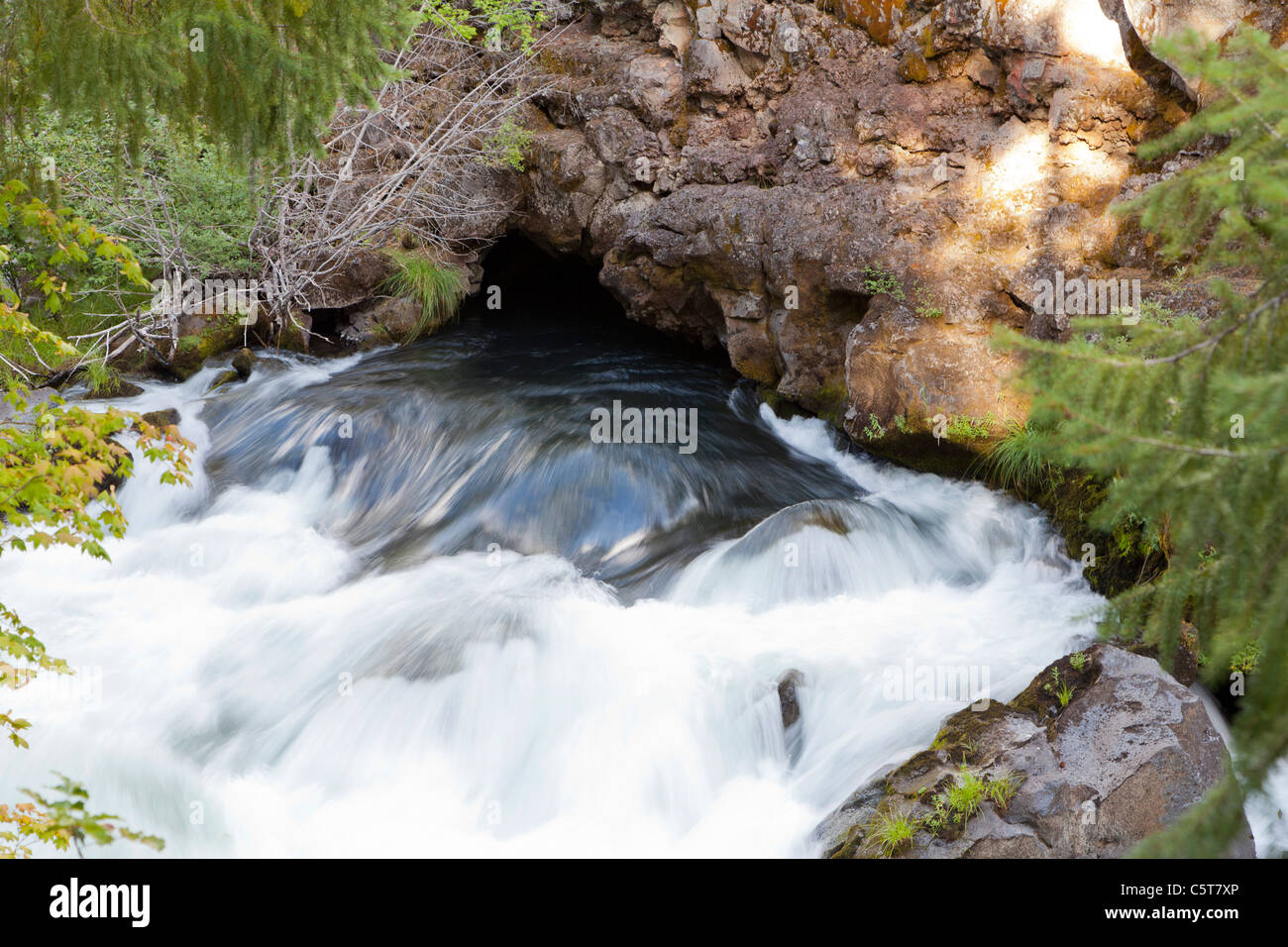 Routge River flows out of a lave tube, Oregon USA Stock Photo - Alamy