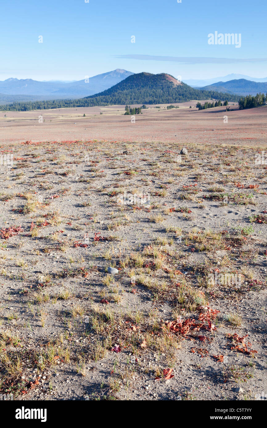 Pumice Desert, Crater Lake NP Oregon USA Stock Photo - Alamy