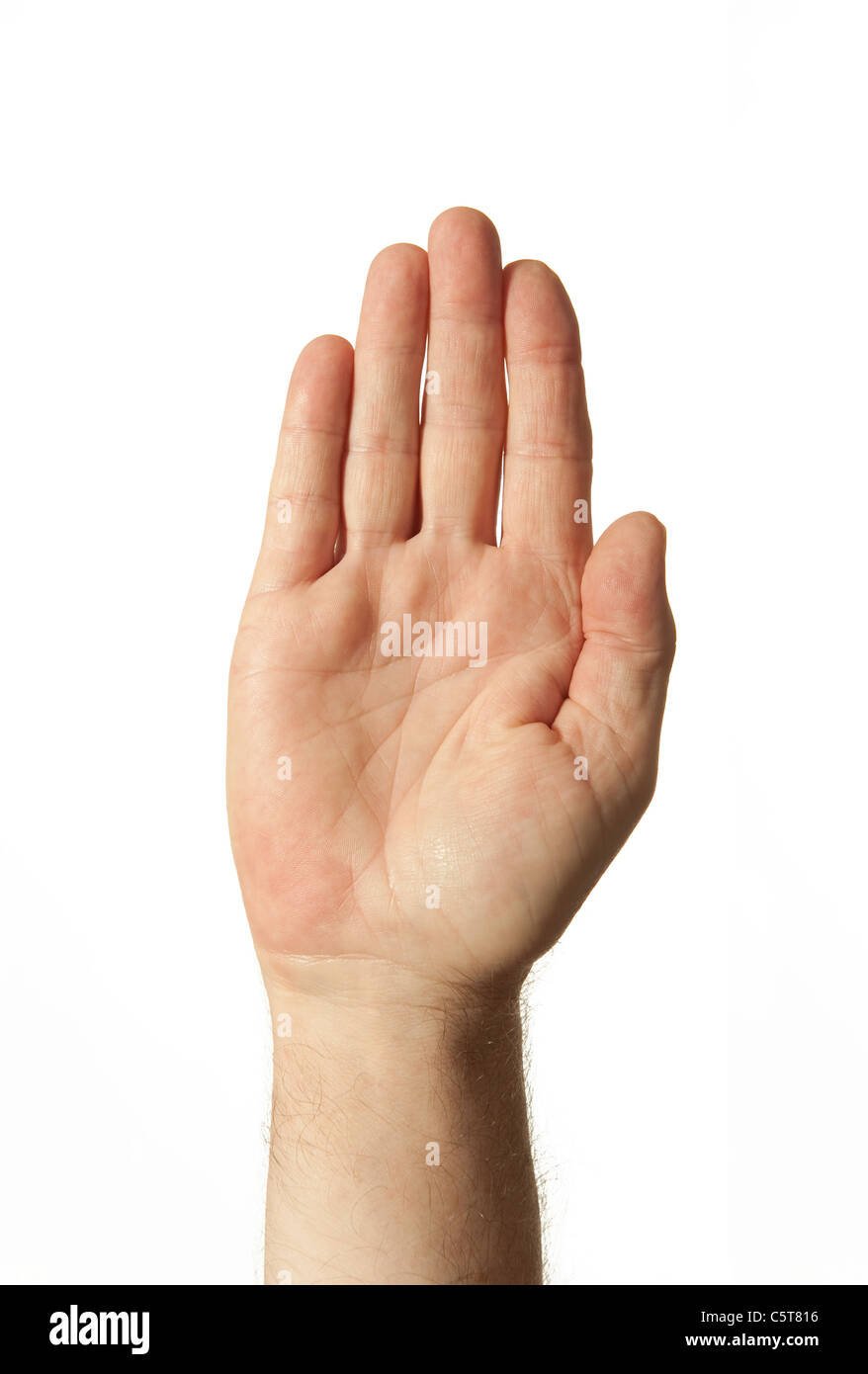 An adult human male hand Stock Photo - Alamy