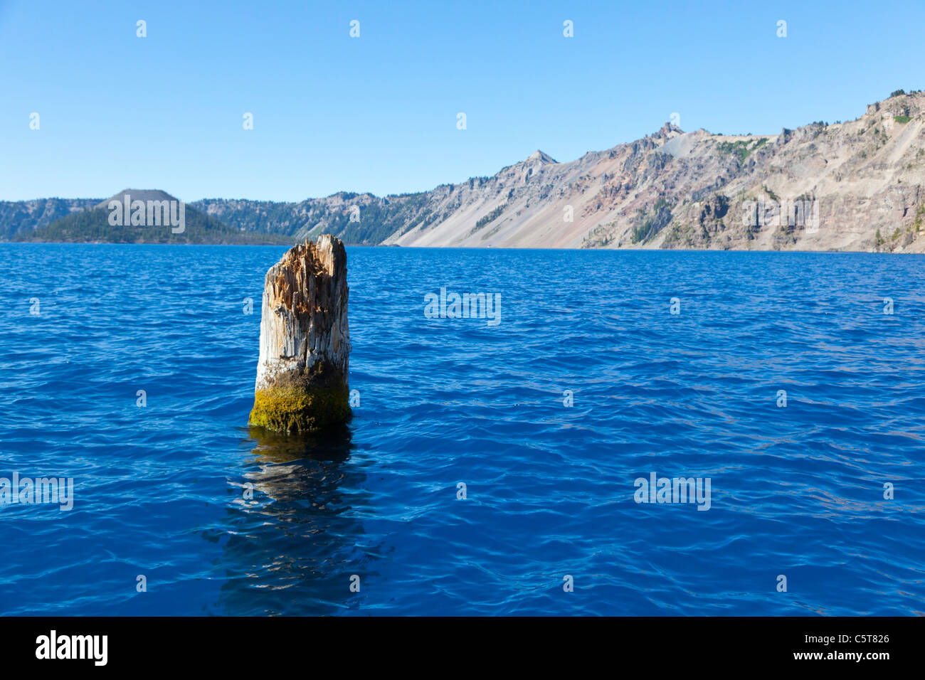 Old Man of the Lake floating log in Crater Lake Oregon USA Stock Photo ...
