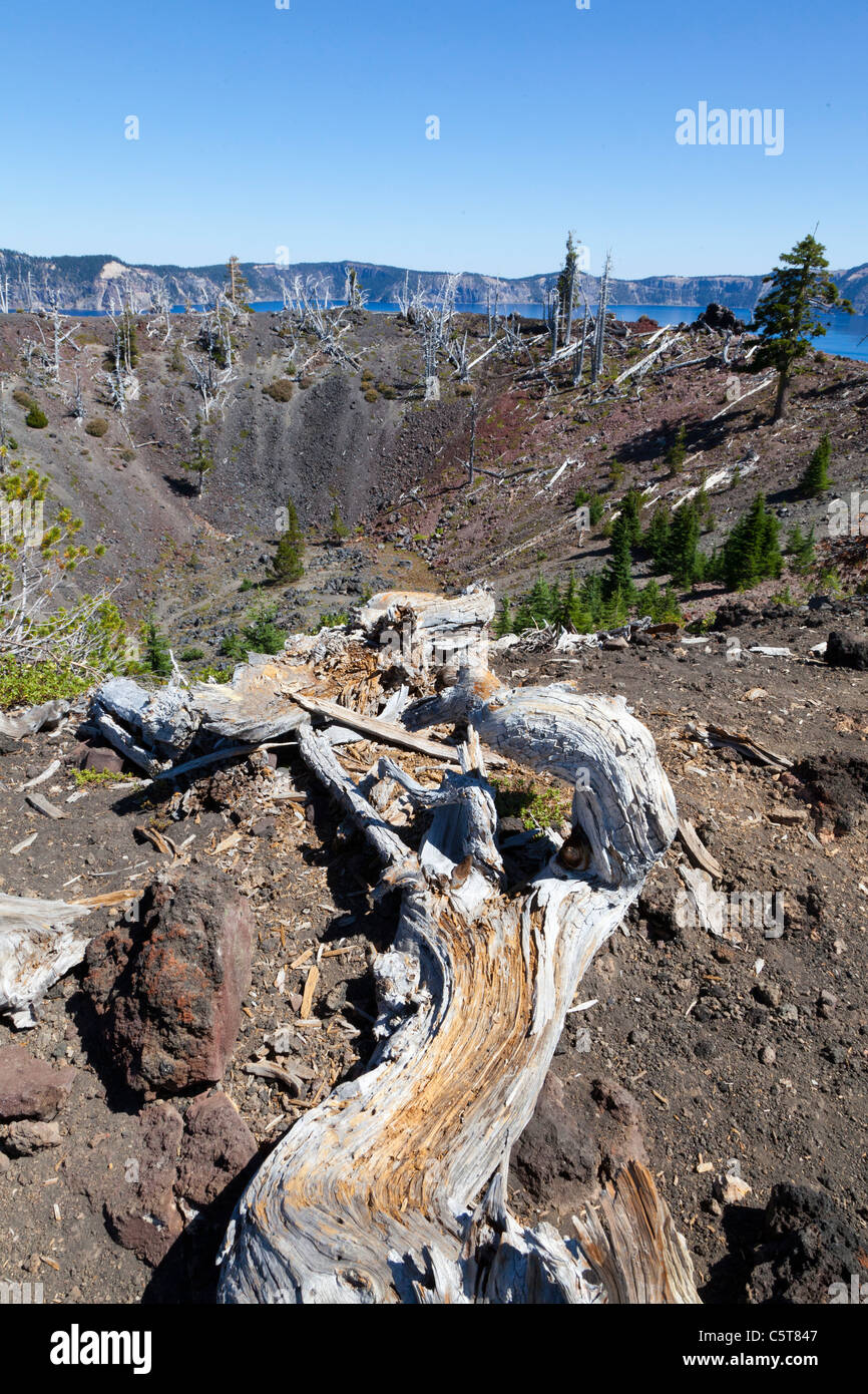 Caldera wizard island hi-res stock photography and images - Alamy