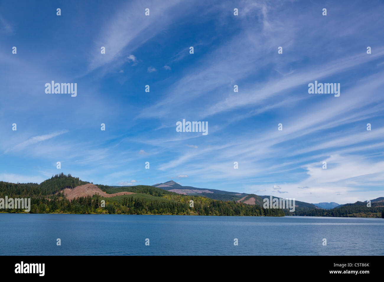 Shea point hi-res stock photography and images - Alamy
