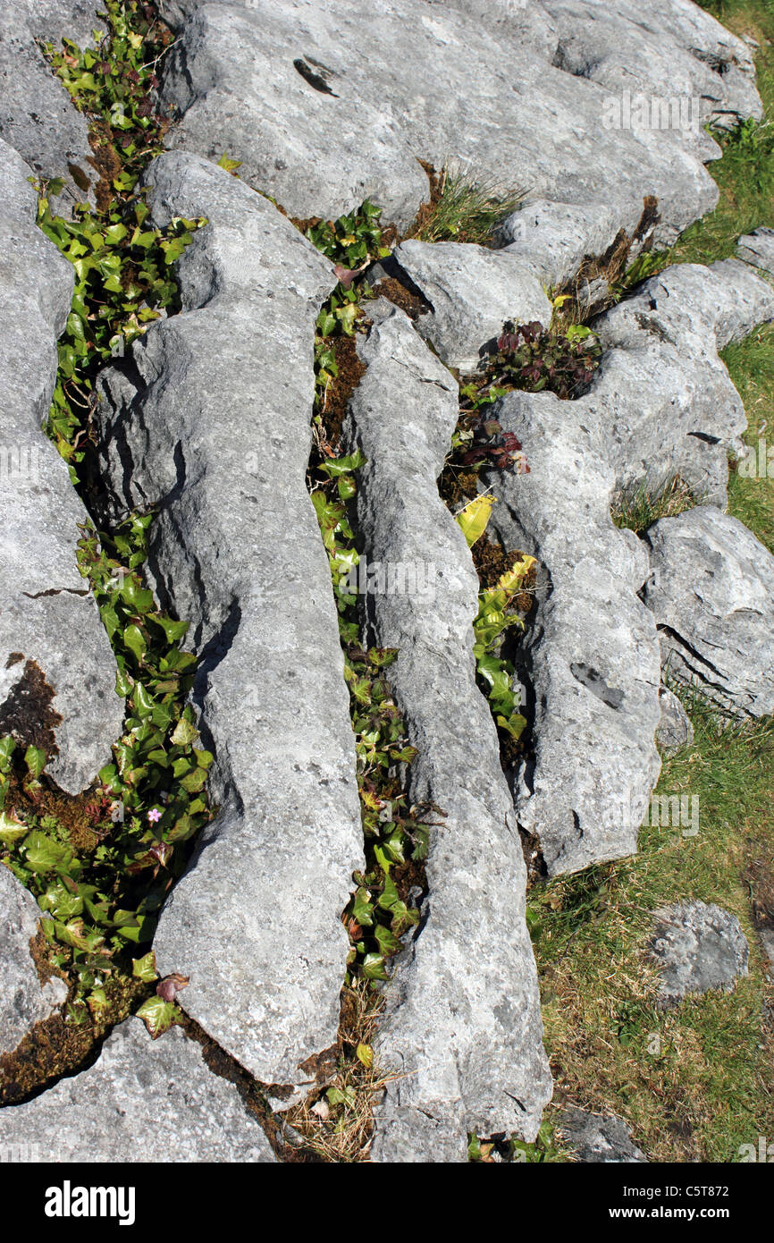 The burren ireland boireann hi-res stock photography and images - Alamy