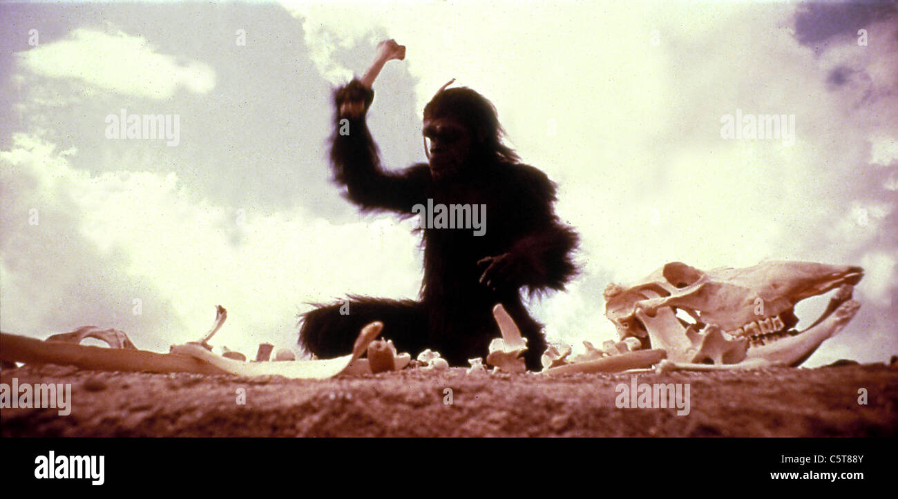 2001 a space odyssey ape hi-res stock photography and images - Alamy