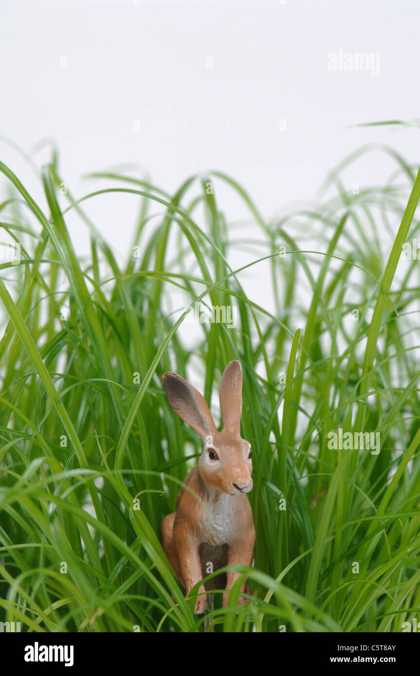 Bunny in grass hi-res stock photography and images - Alamy