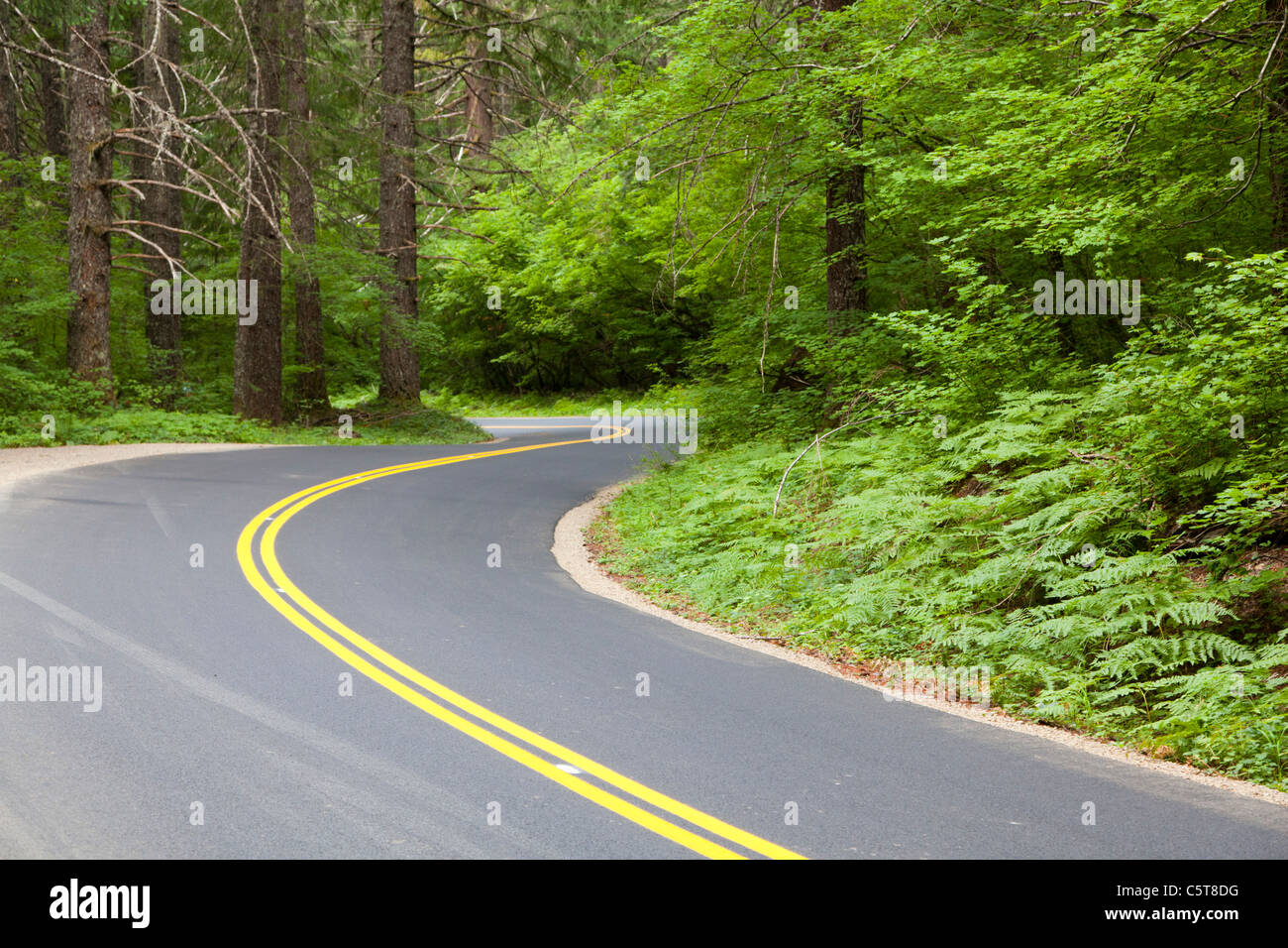 Bending road hi-res stock photography and images - Alamy