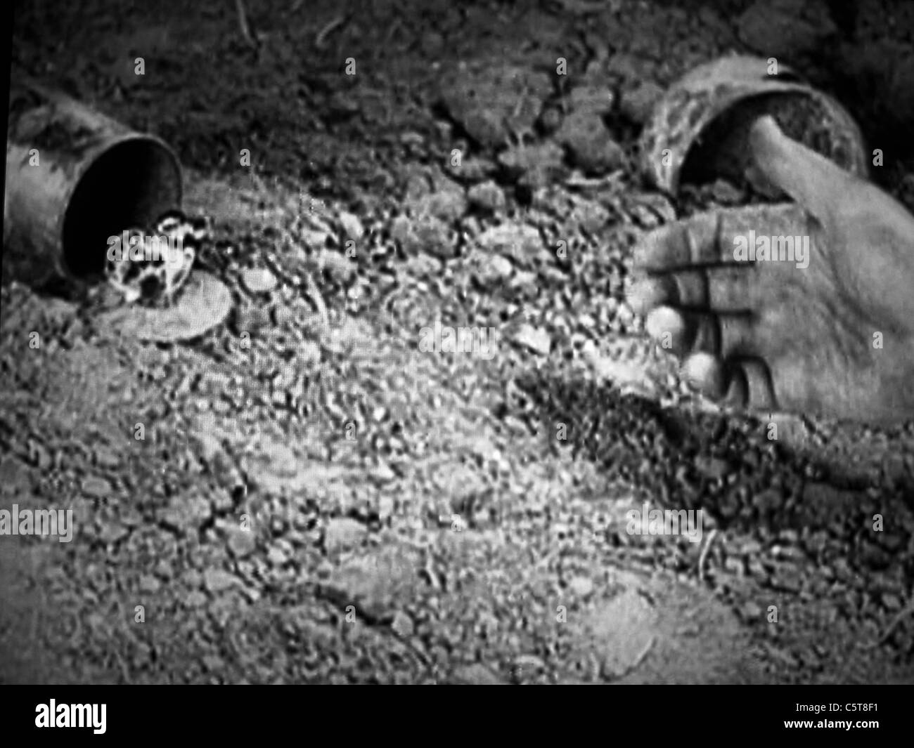 ALL QUIET ON THE WESTERN FRONT (1930) RICHARD THOMAS, PAUL MONASH (DIR ...