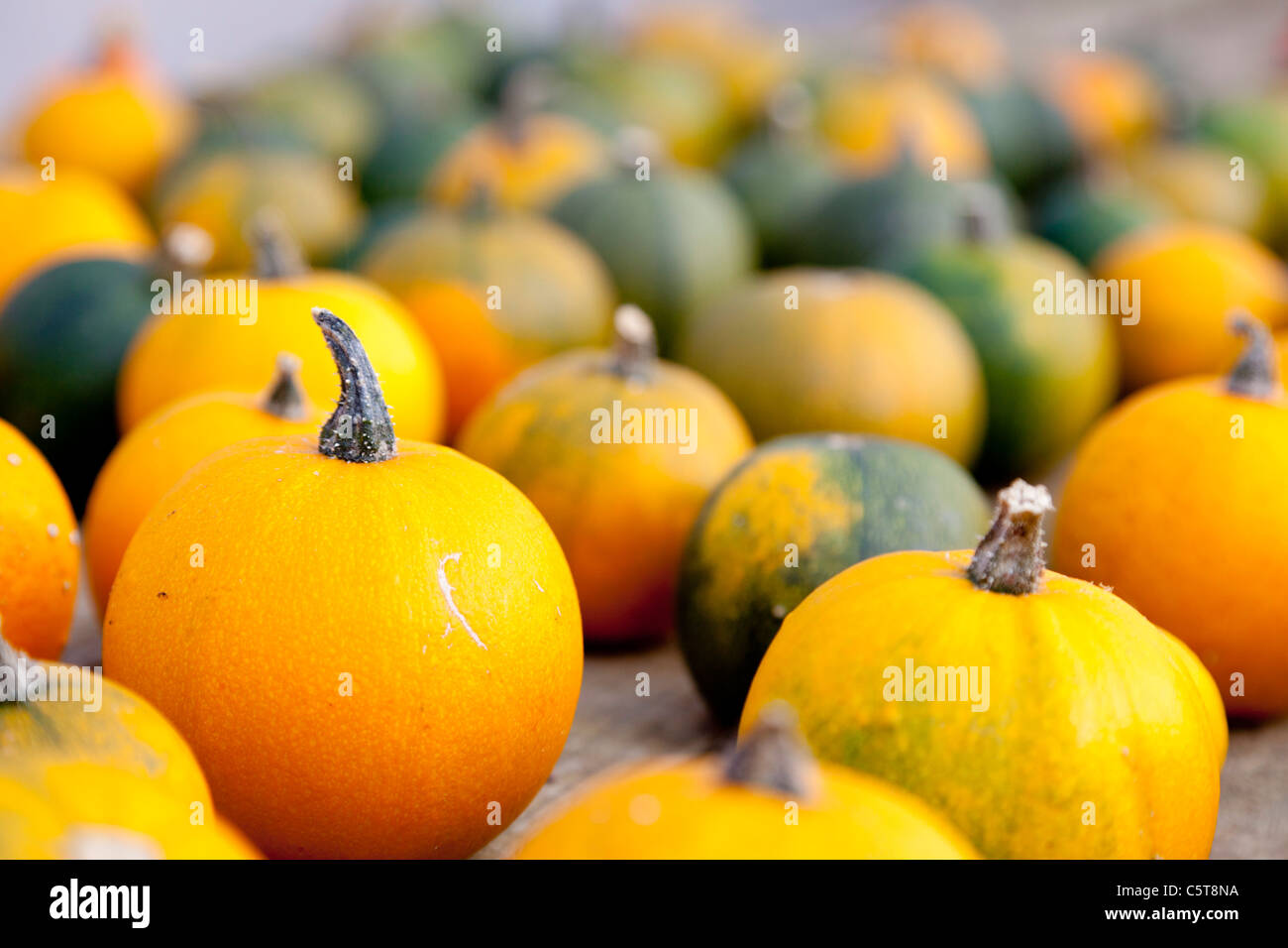 Pumpkins drying outside Stock Photo - Alamy