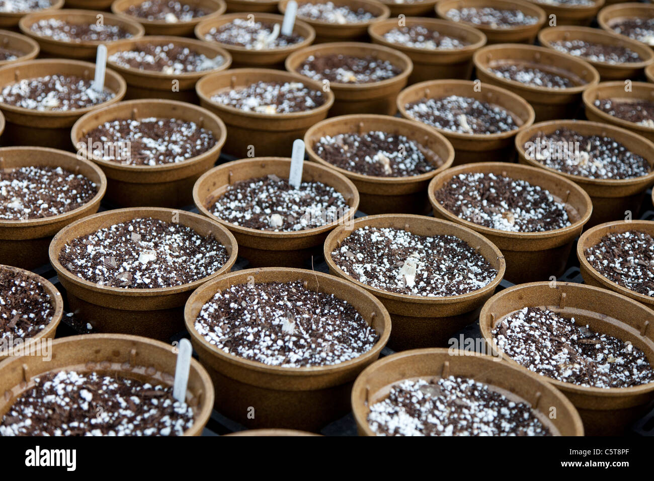 Grid pattern hi-res stock photography and images - Alamy