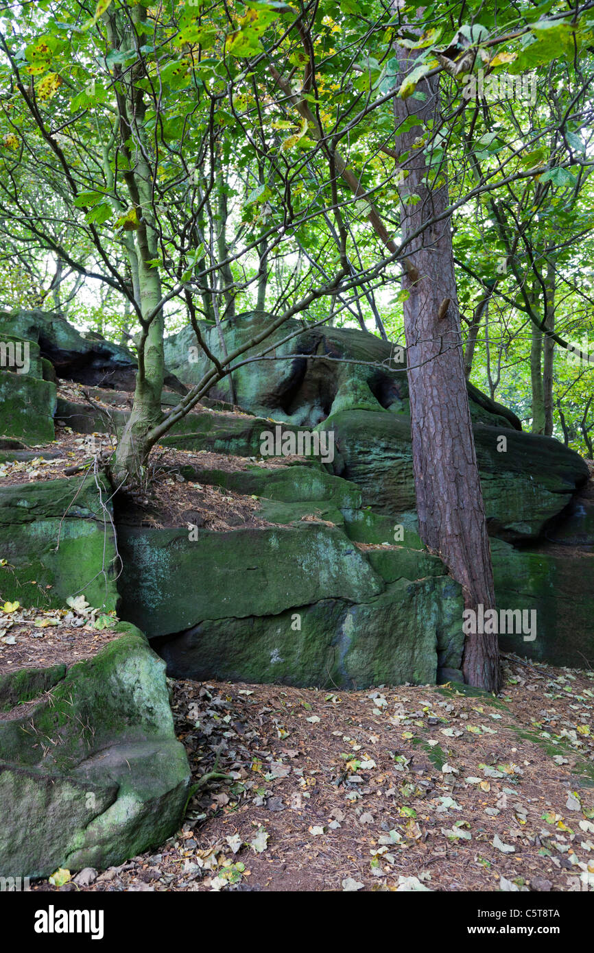 Plumpton Rocks North Yorkshire England Stock Photo - Alamy