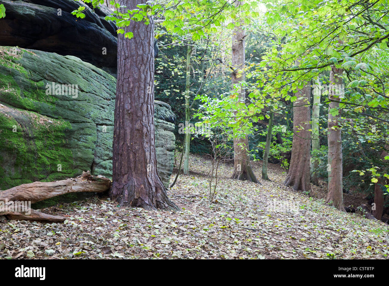 Plumpton Rocks North Yorkshire England Stock Photo - Alamy