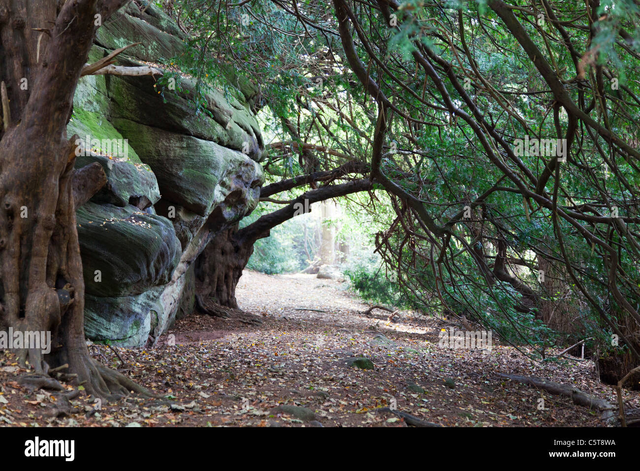 Plumpton Rocks North Yorkshire England Stock Photo - Alamy