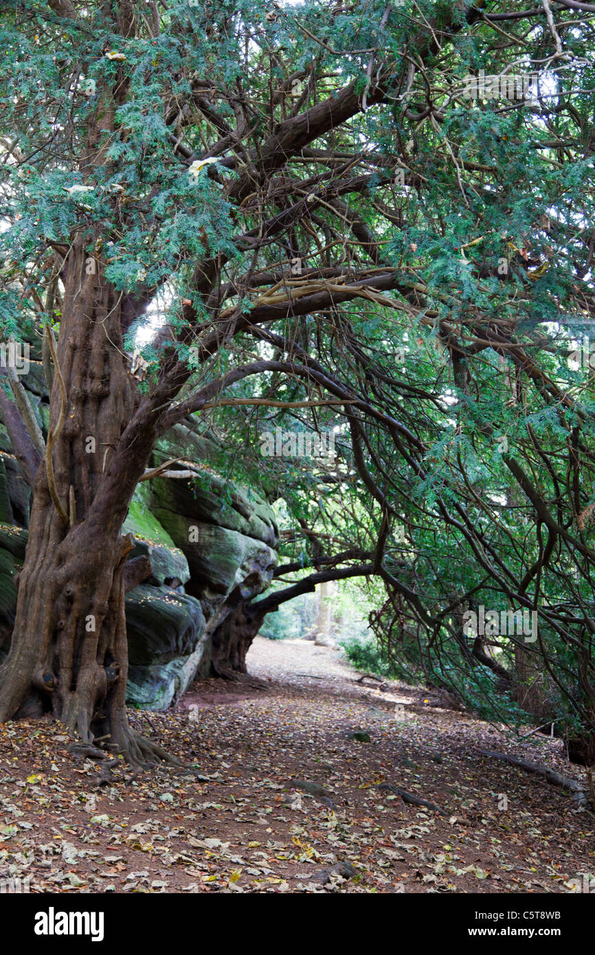 Plumpton Rocks North Yorkshire England Stock Photo - Alamy
