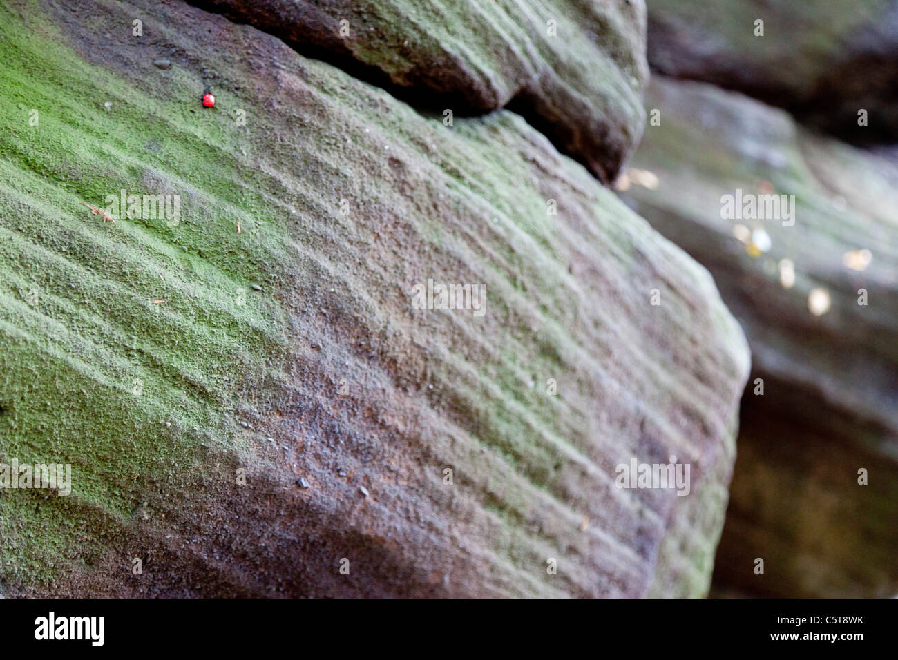 Plumpton Rocks Stock Photos & Plumpton Rocks Stock Images - Alamy