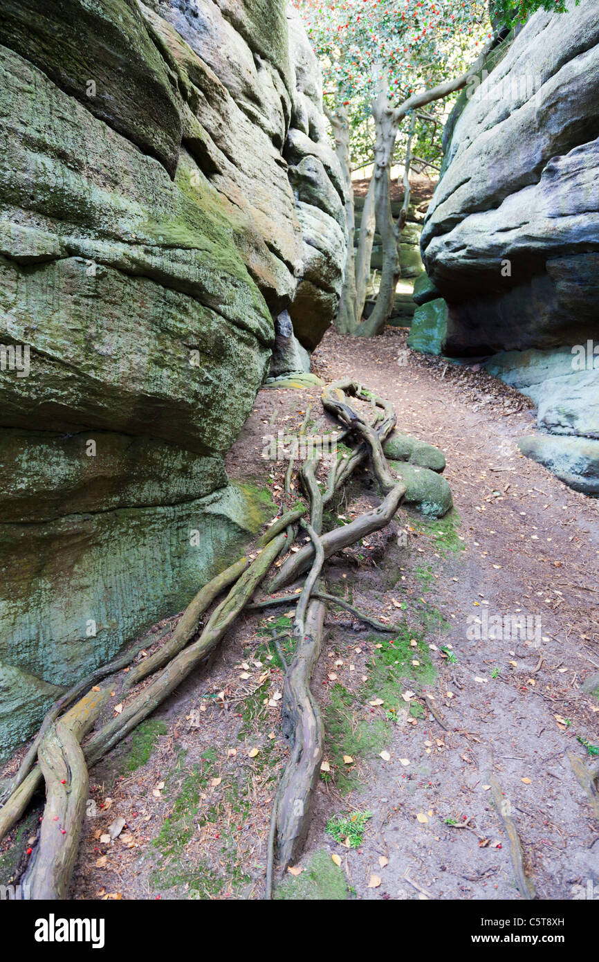 Plumpton Rocks North Yorkshire England Stock Photo - Alamy