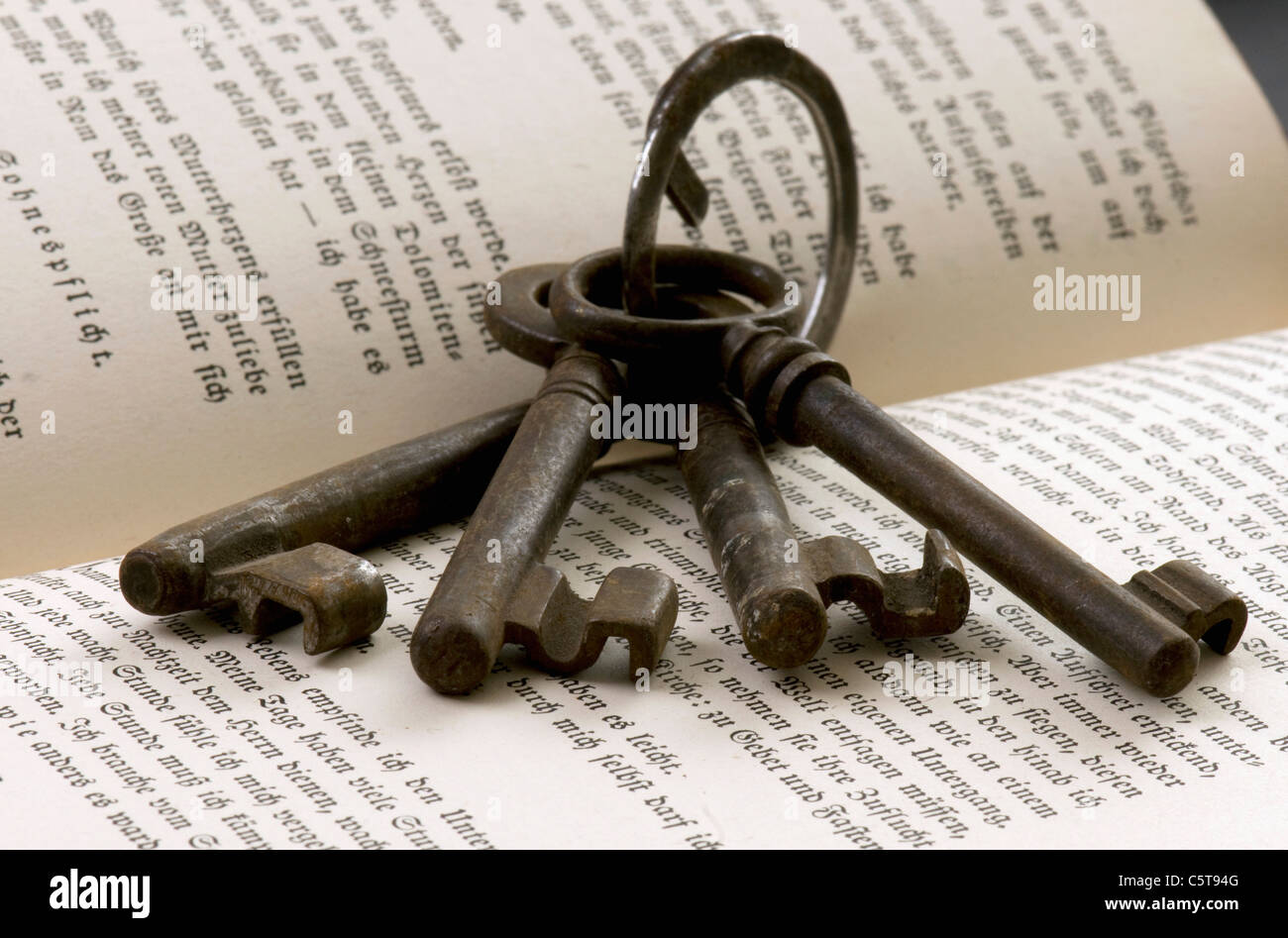 Keys on keyring lying on open book Stock Photo - Alamy